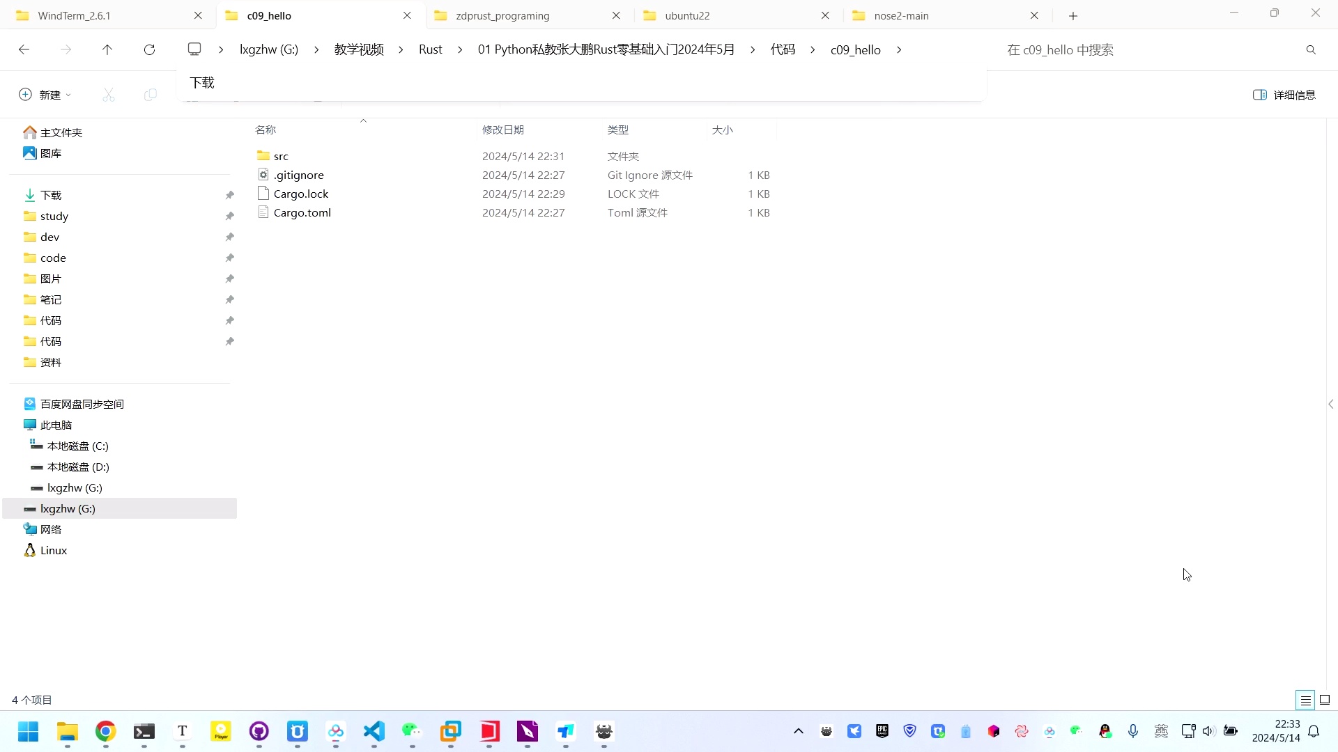 Python私教张大鹏Rust基础2024年5月_哔哩哔哩_bilibili