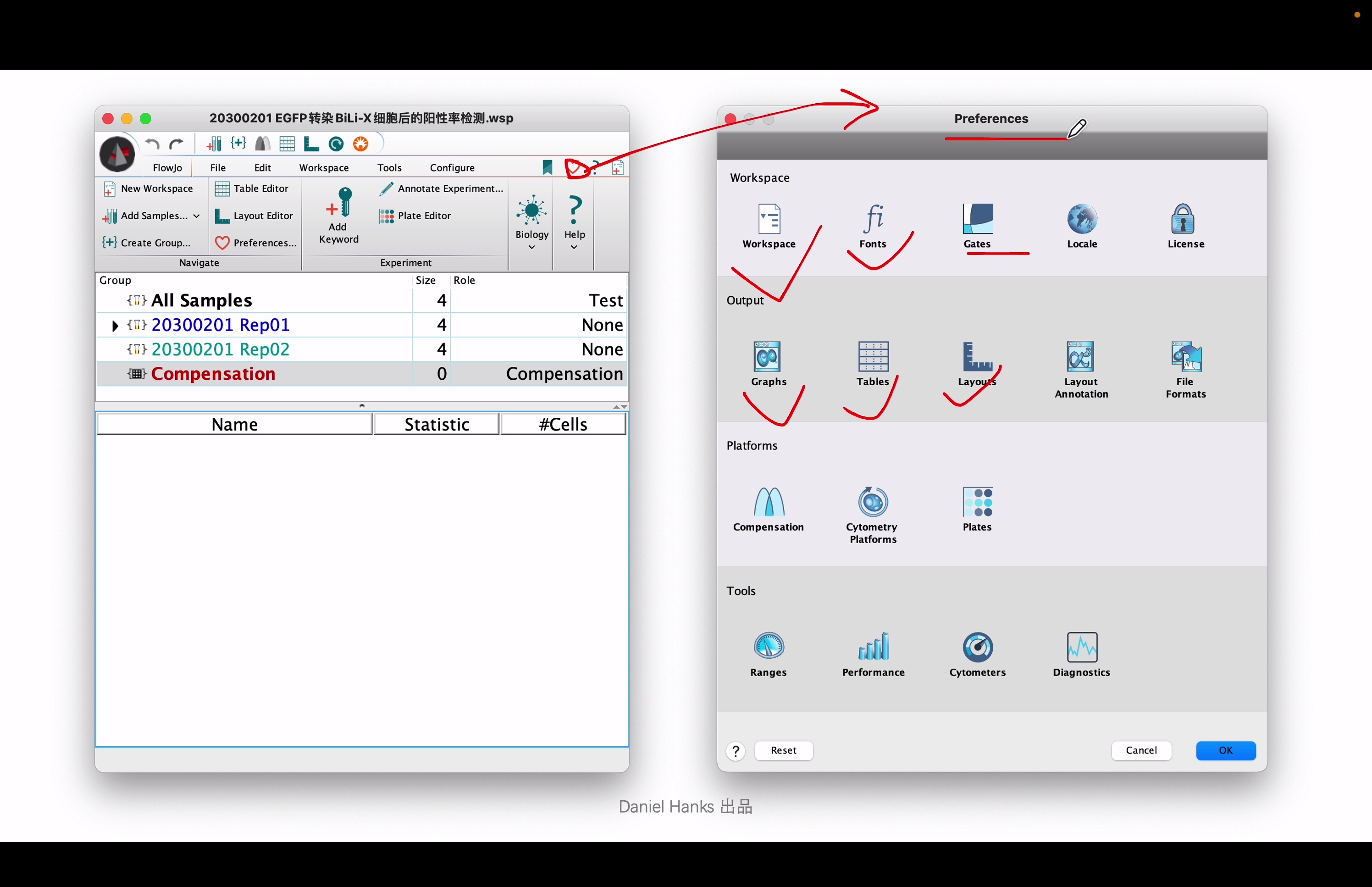 Hanks教你使用FlowJo进行流式数据分析_哔哩哔哩_bilibili