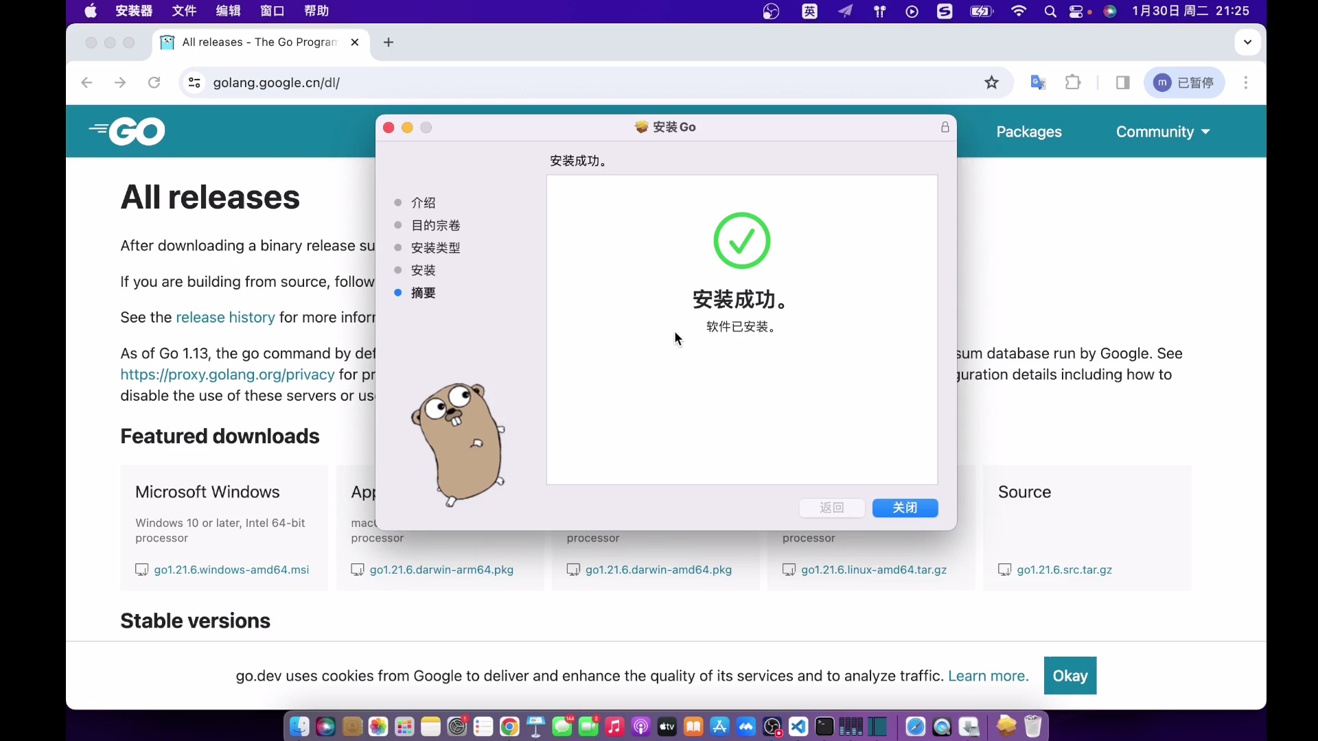 Golang编程从入门到实战_哔哩哔哩_bilibili