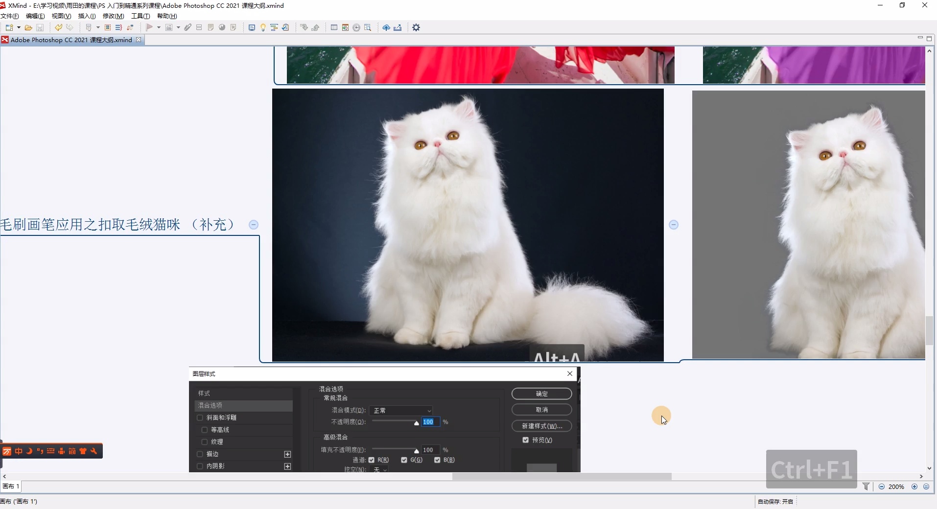 【三合一】CDR、PS、AI超级合辑》精英班_哔哩哔哩_bilibili
