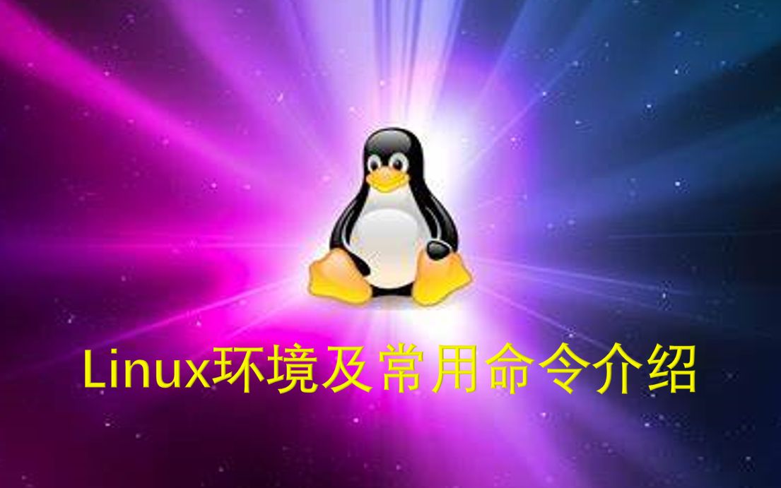 Linux环境及常用命令介绍_哔哩哔哩_bilibili