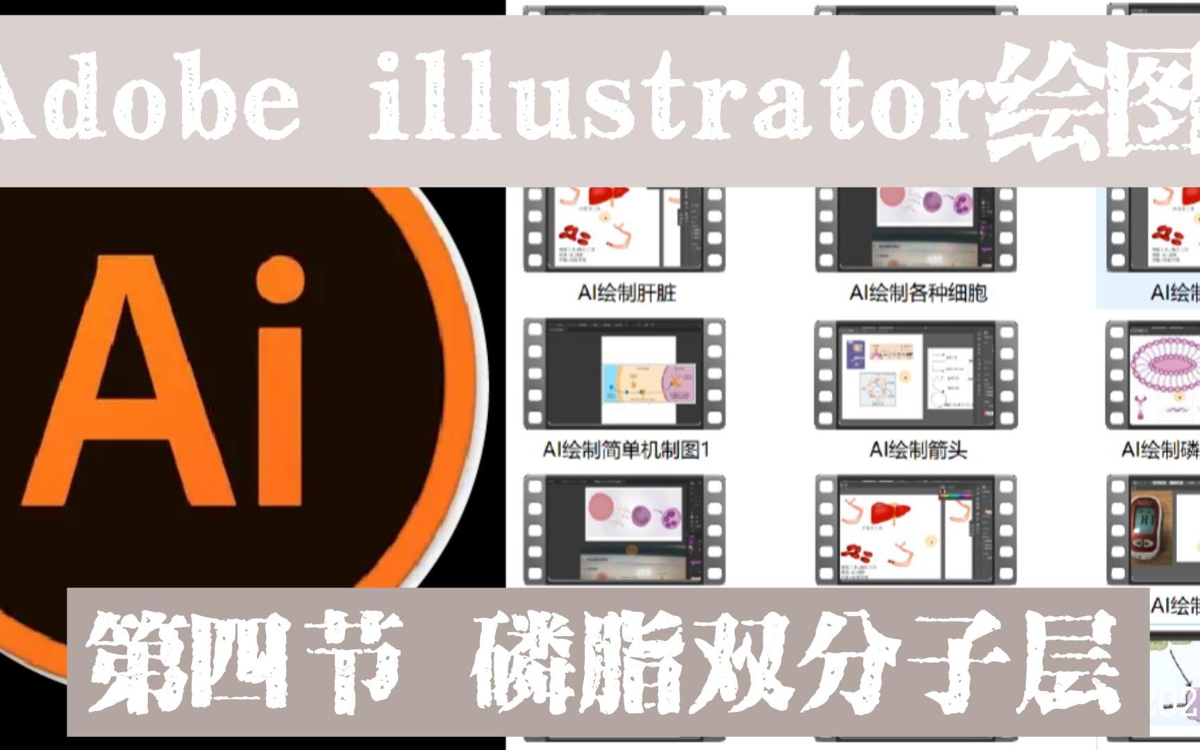Adobe illustrator用于科研绘图_哔哩哔哩_bilibili