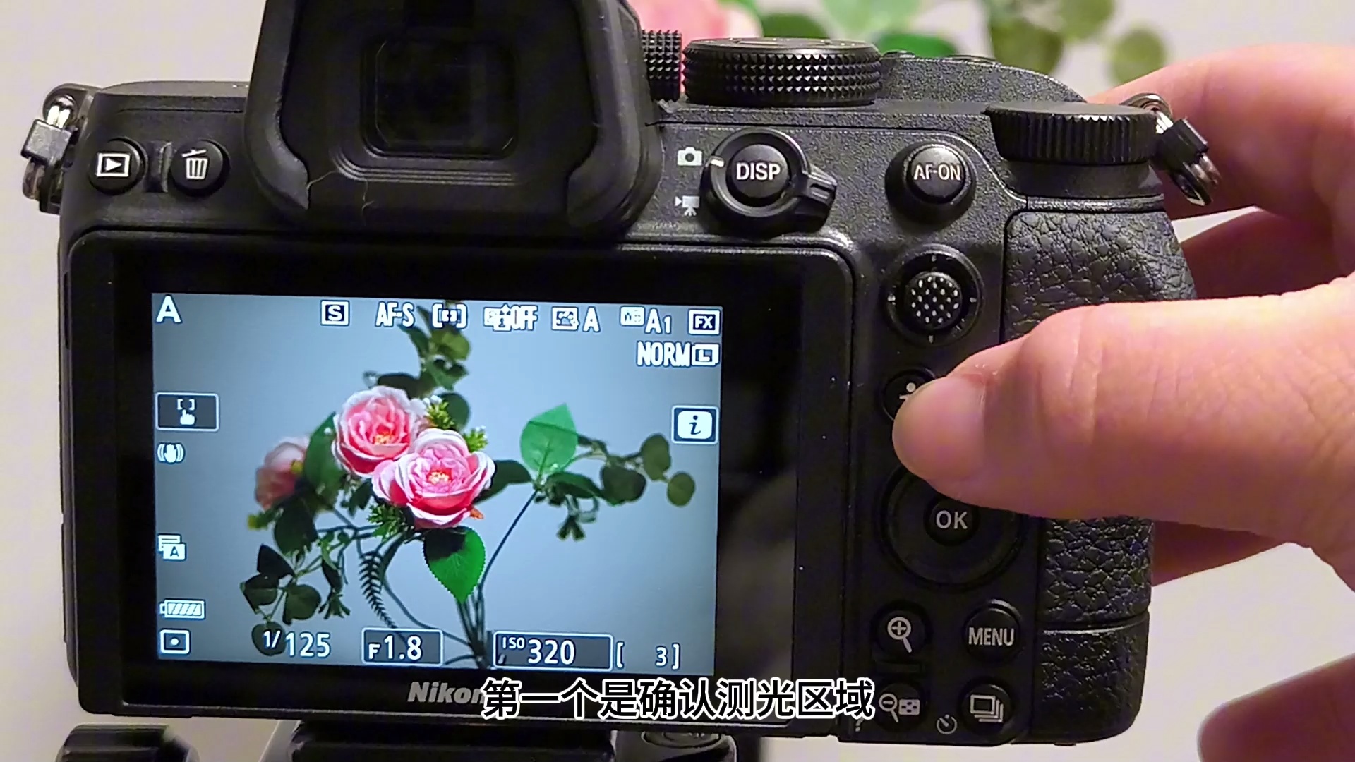 尼康Z5一点通_哔哩哔哩_bilibili