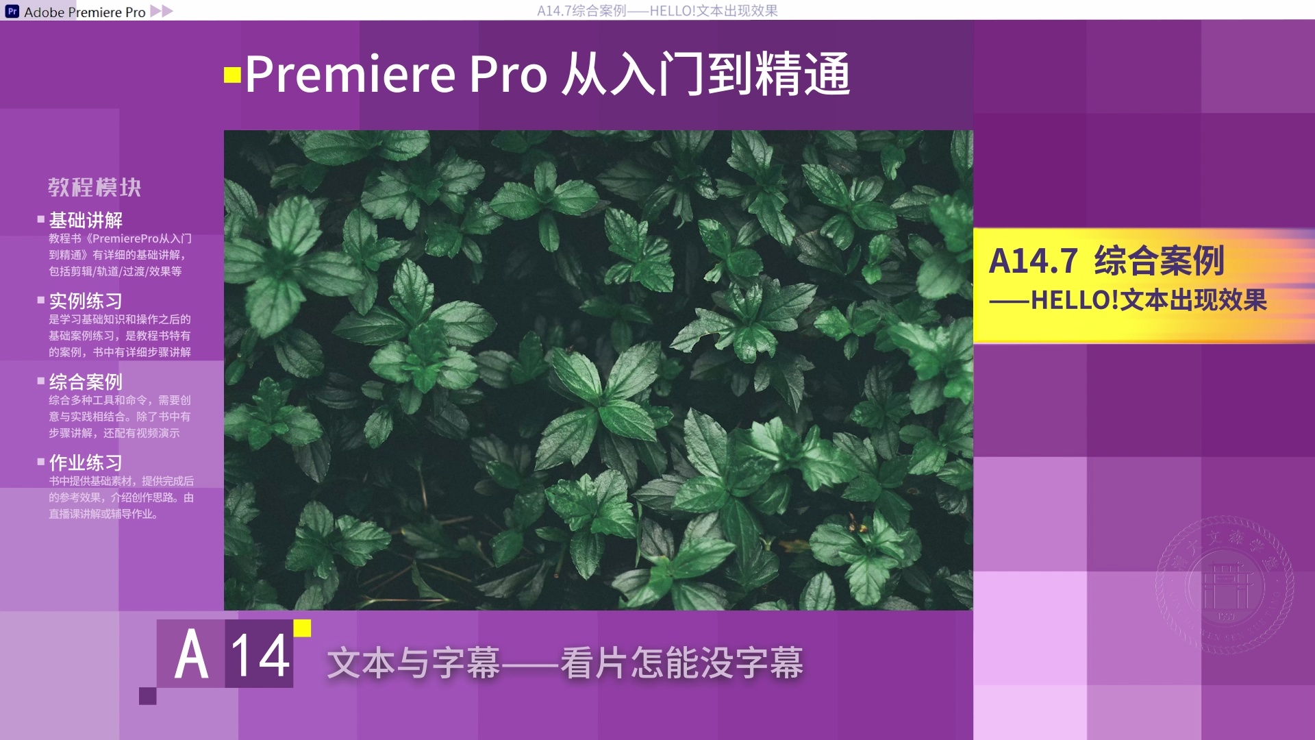 敬伟-Premiere从入门到精通pr教程与案例_哔哩哔哩_bilibili