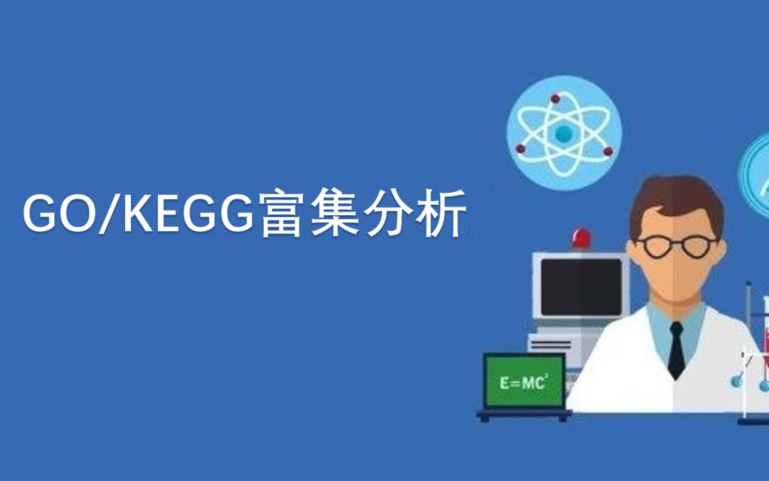 R语言GO和KEGG富集分析及结果可视化_哔哩哔哩_bilibili