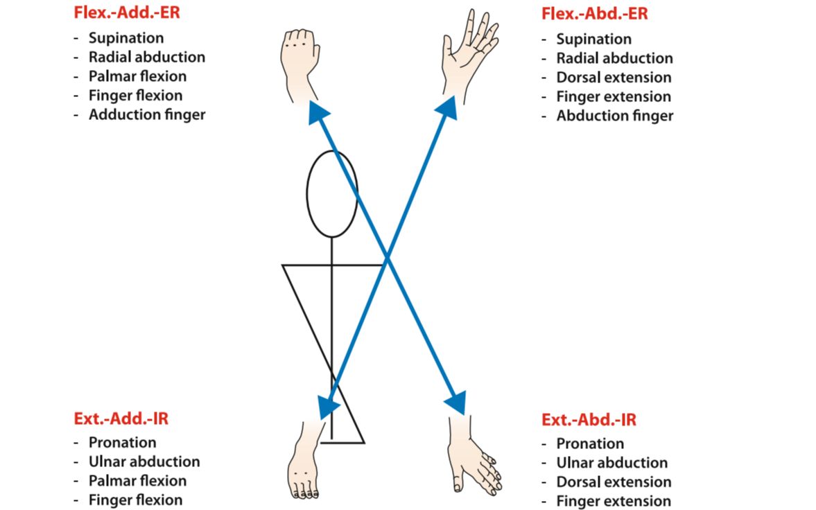 来自捷克的PNF技术_哔哩哔哩_bilibili