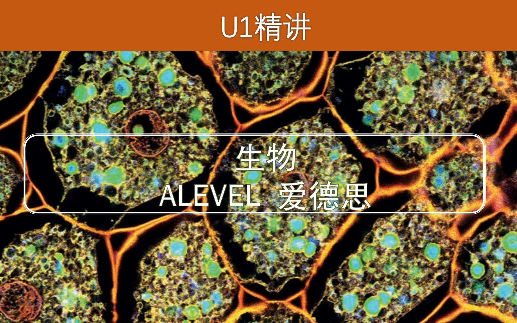 爱德思-生物-U1精讲_哔哩哔哩_bilibili