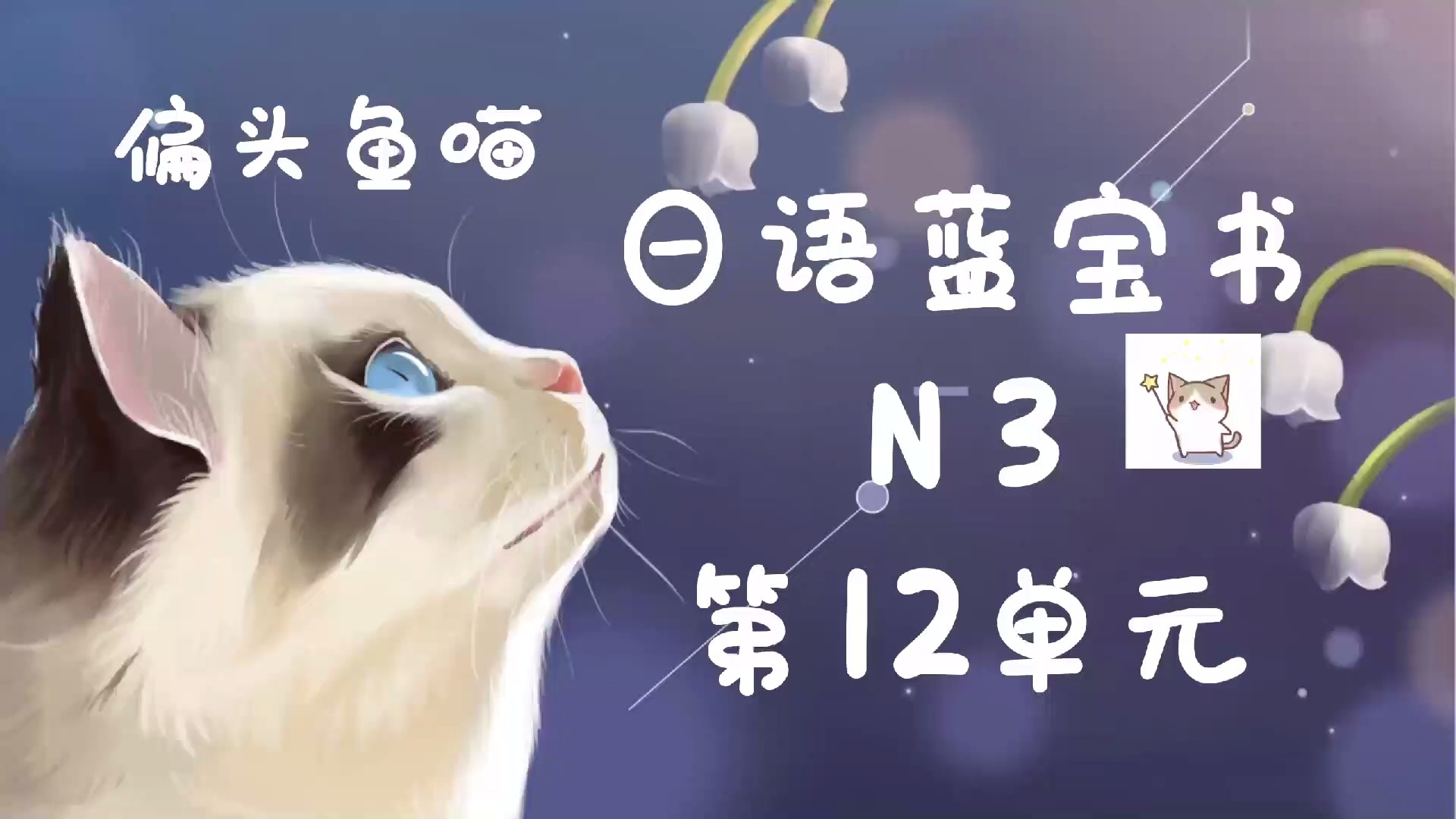 【日语语法】蓝宝书N3_哔哩哔哩_bilibili