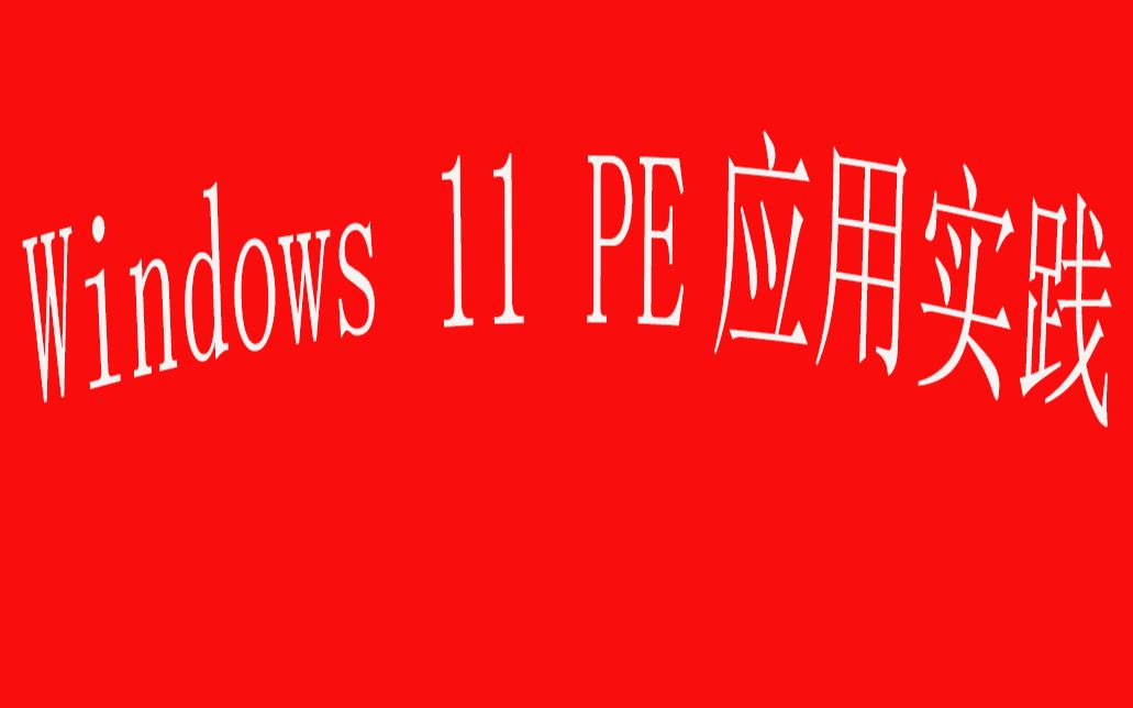 Windows 11 PE应用实践_哔哩哔哩_bilibili