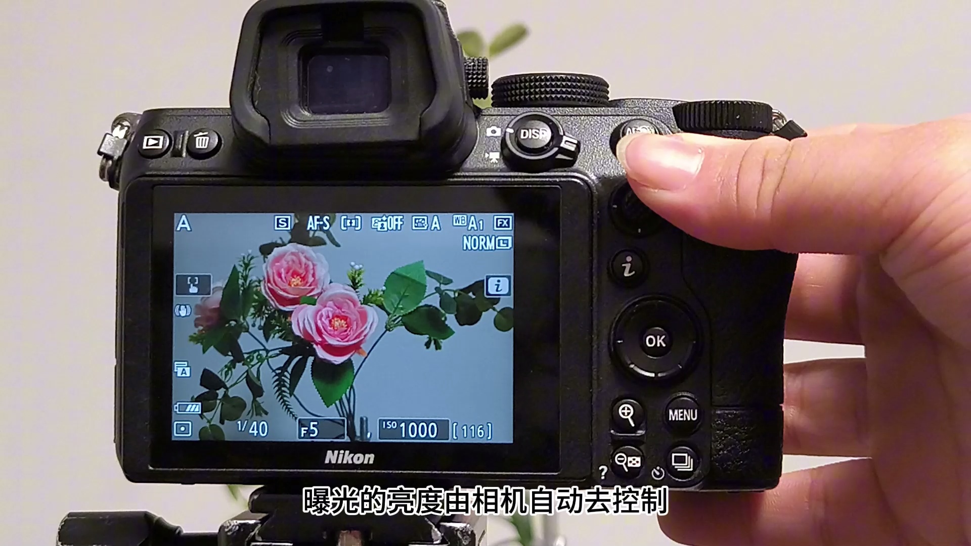 尼康Z5一点通_哔哩哔哩_bilibili